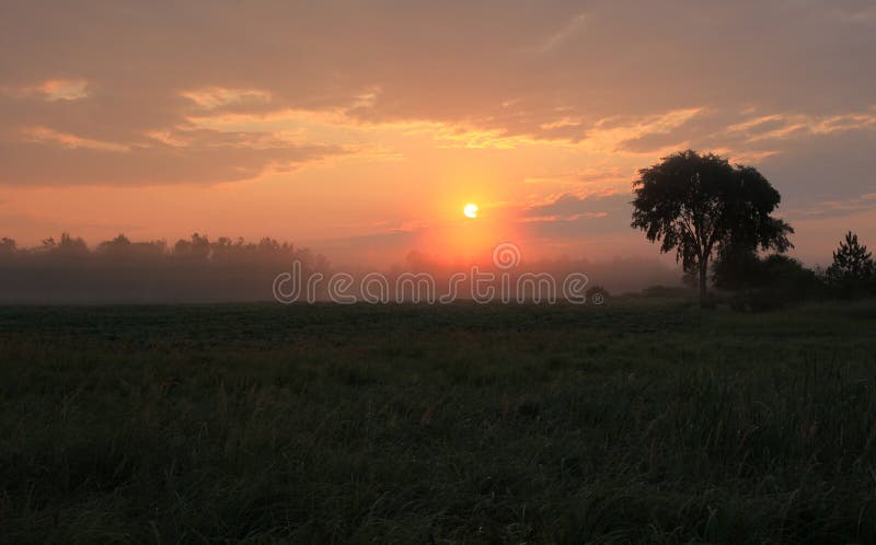 Sun rising over the field stock image. Image of rising - 32934219