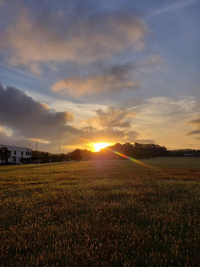 Sun rising over the field stock photo. Image of cloud - 45958476