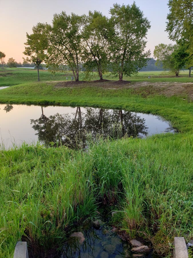 Sun Rising Over a Grassy Lake Stock Photo - Image of rising, grassy ...