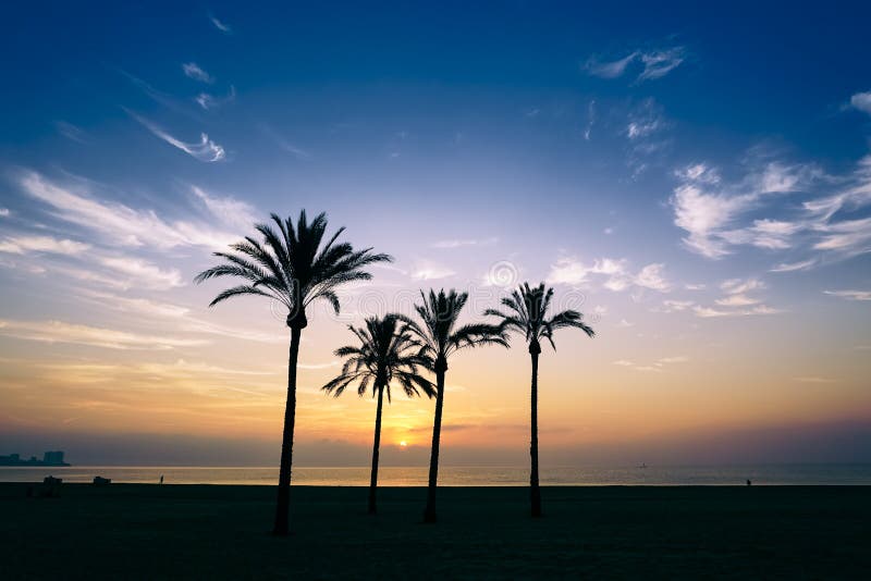 The Sun Rising Over the Horizon Stock Photo - Image of astronomy ...