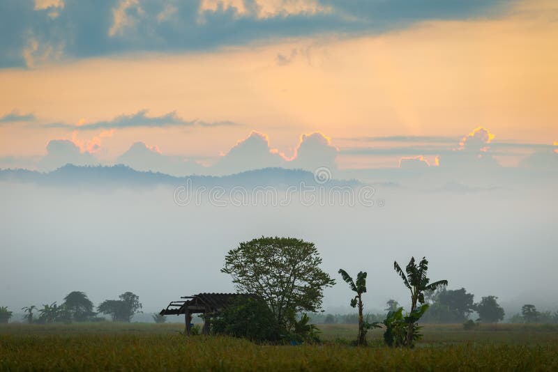 The Sun Rising Over the Silhouette Trees Stock Image - Image of dark ...