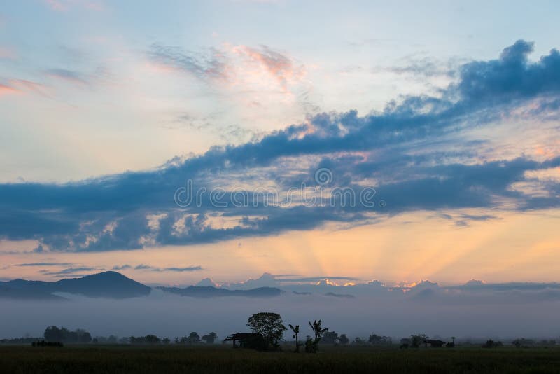 The Sun Rising Over the Silhouette Trees Stock Photo - Image of botanic ...