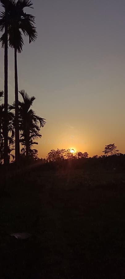 The Sun Rising Scenery in Assam Stock Photo - Image of rising, trees ...