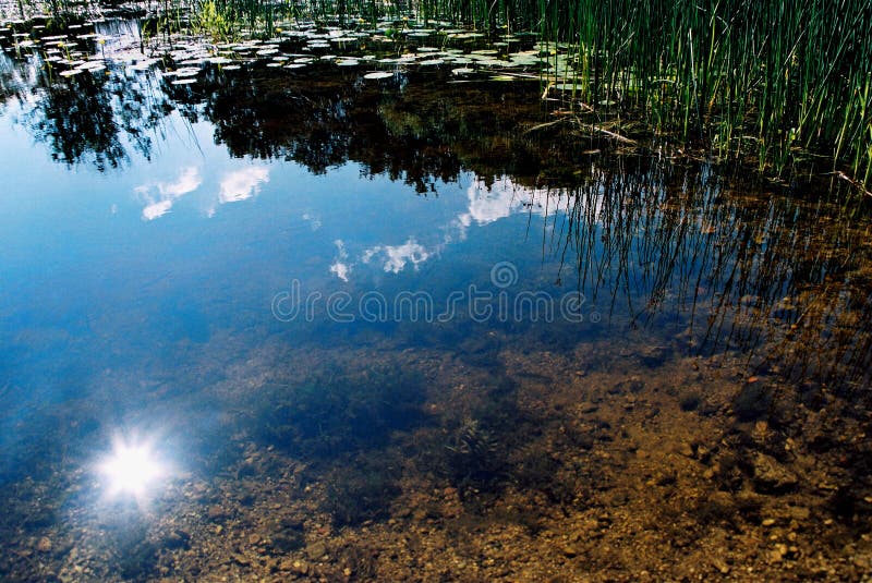 Sun In The River Picture. Image: 1992686