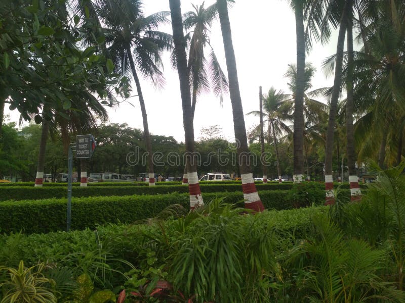 Sun and Road stock image. Image of road, haba, love - 145893045