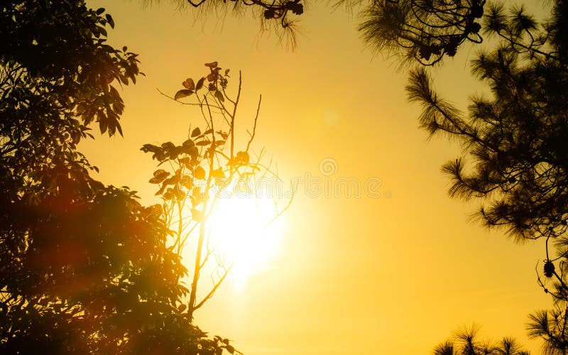 The Sun`s Image is Going Up into the Sky and is Shining in Orange ...