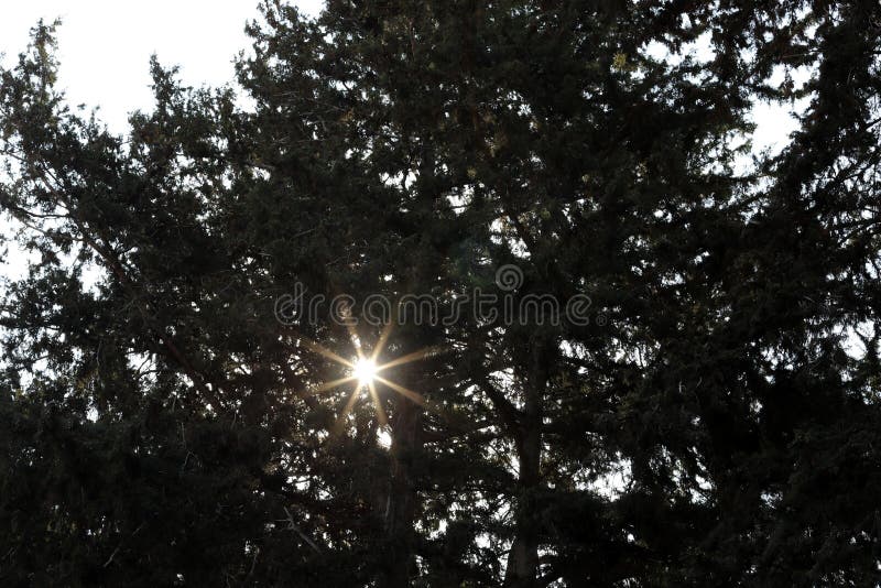 The Sun`s Rays Break through the Clouds and Leaves of Trees Stock Image ...
