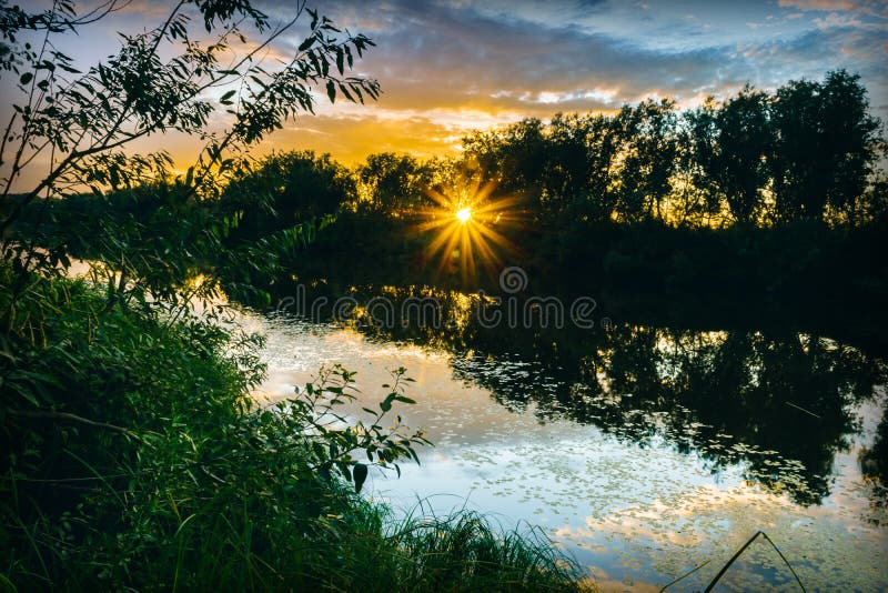 The Sun`s Rays Break through the Foliage of the Trees at Sunset. Stock ...