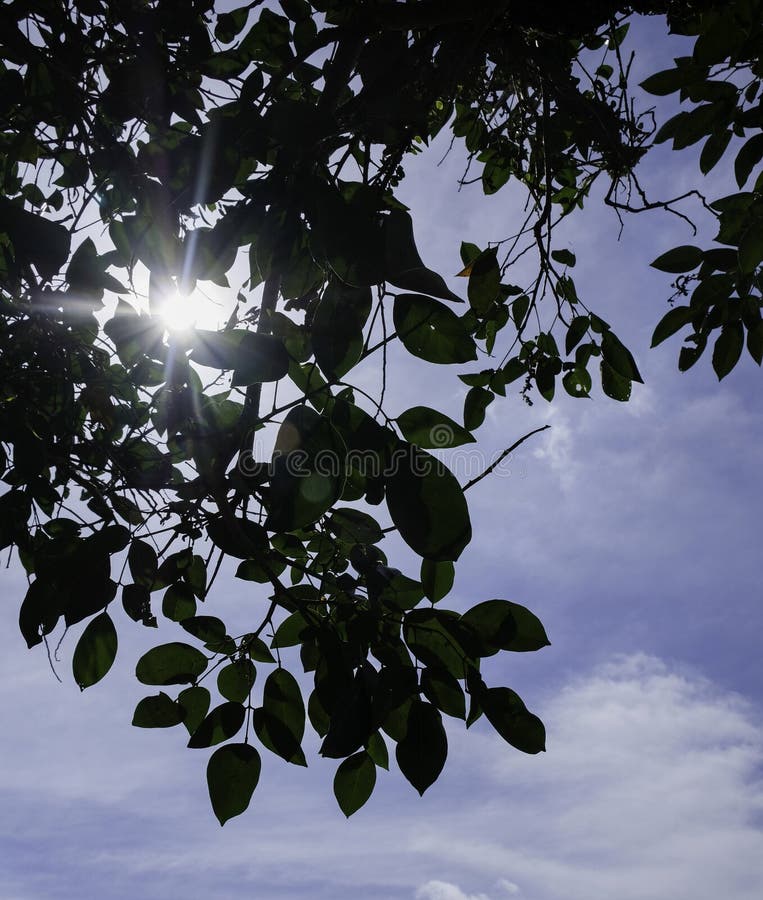 Sun Rays Break through Clouds Over Great Basin National Park Stock ...