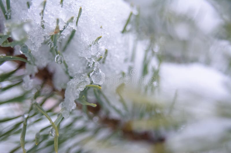 The Sun S Rays Break through the Melting Snow and Ice, Creating Amazing ...