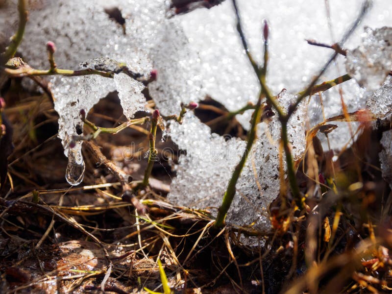 Sun Rays Melting the Snow on Top of a Mountain Stock Photo - Image of ...