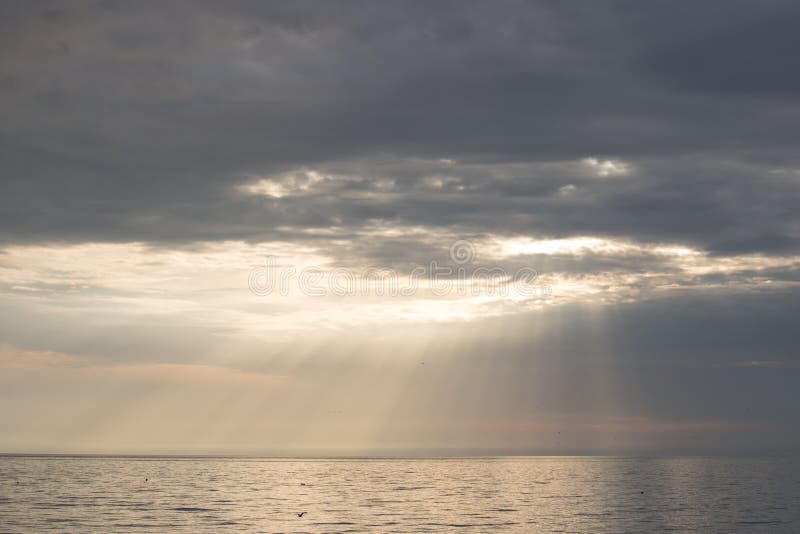 The Sun`s Rays Over the Sea in the Evening Stock Photo - Image of rays ...