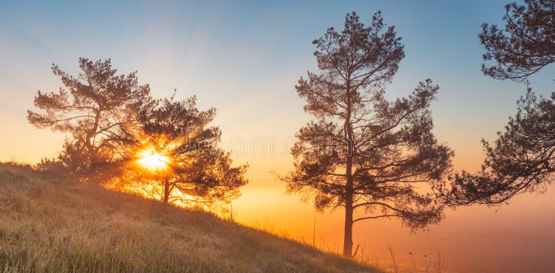 The Sun S Rays Shine through the Branches of Trees on the Edge of the ...