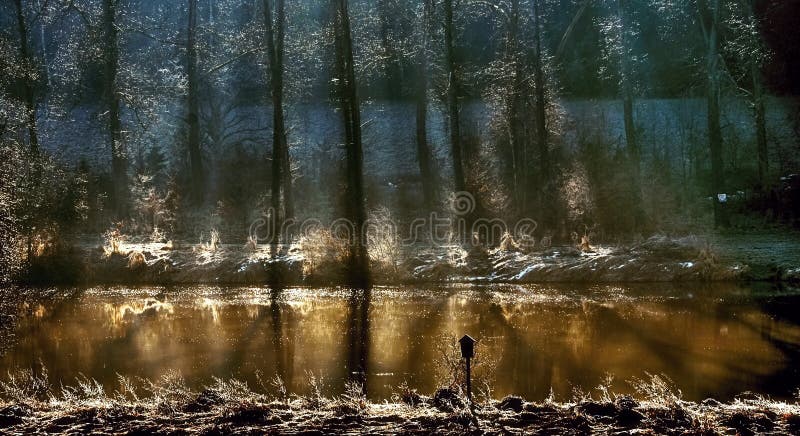 The Sun S Rays Shine through the Trees by the River Stock Image - Image ...