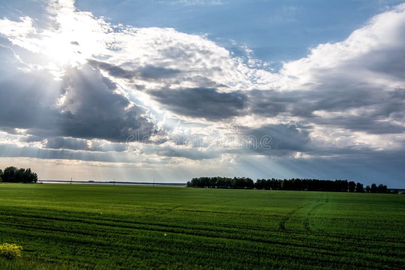 The sun`s rays from stock photo. Image of sunny, light - 80282820