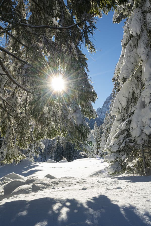 Sun`s rays in winter stock photo. Image of seasonal - 205504012
