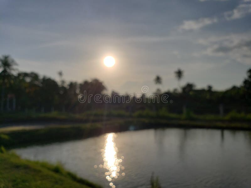 Sun S Reflection on Still Pond Water with Lush Greenery Stock Photo ...