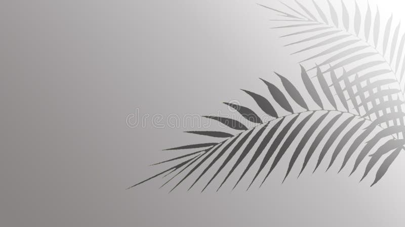 The Sun S Shadow Formed by Being Blocked by Windows, Branches and Twigs ...