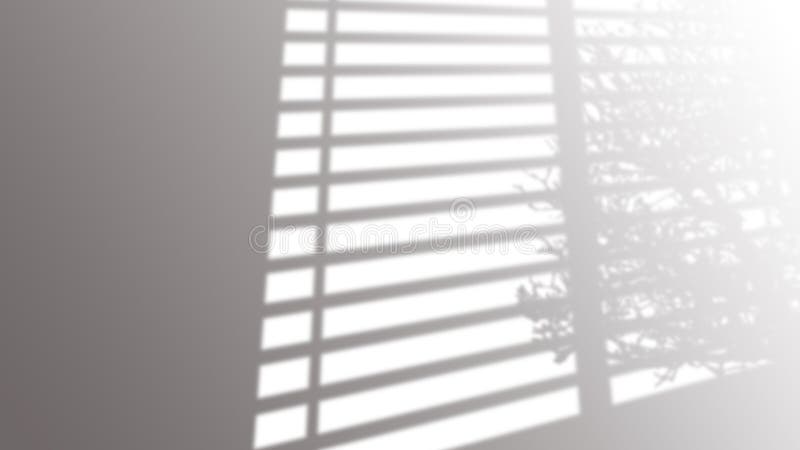 The Sun S Shadow Formed by Being Blocked by Windows, Branches and Twigs ...