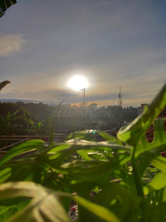 Sun on Saturday Morning stock image. Image of nature - 265718595