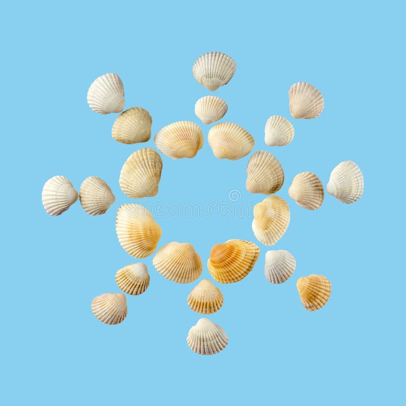 The Sun from Sea Shells Isolated on Gentle Blue Background Stock Image ...