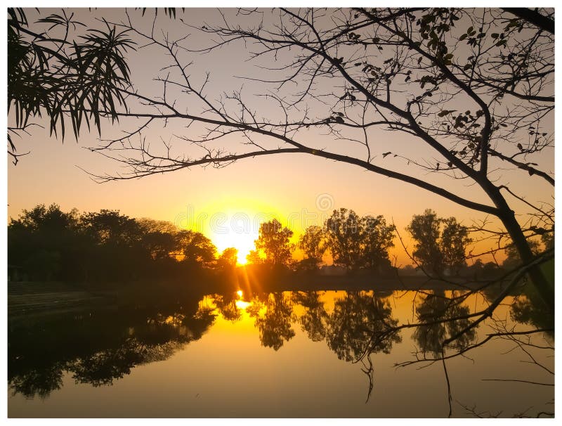 Sun Sed with Yellow Sun Light and Trees Sedo in Water Stock Photo ...