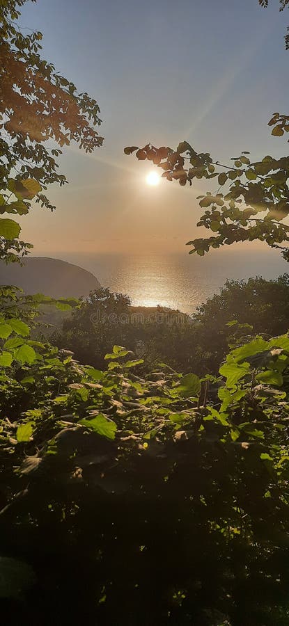 Naturedaylight Stock Photos - Free & Royalty-Free Stock Photos from ...