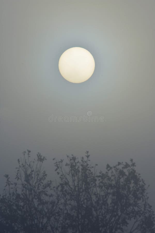 The Sun Seen As a Circle Filtered through the Fog Stock Photo - Image ...