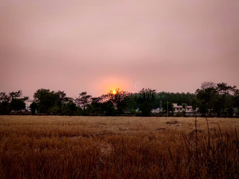 Sun set stock photo. Image of dawn, evening, grass, cloud - 238837952