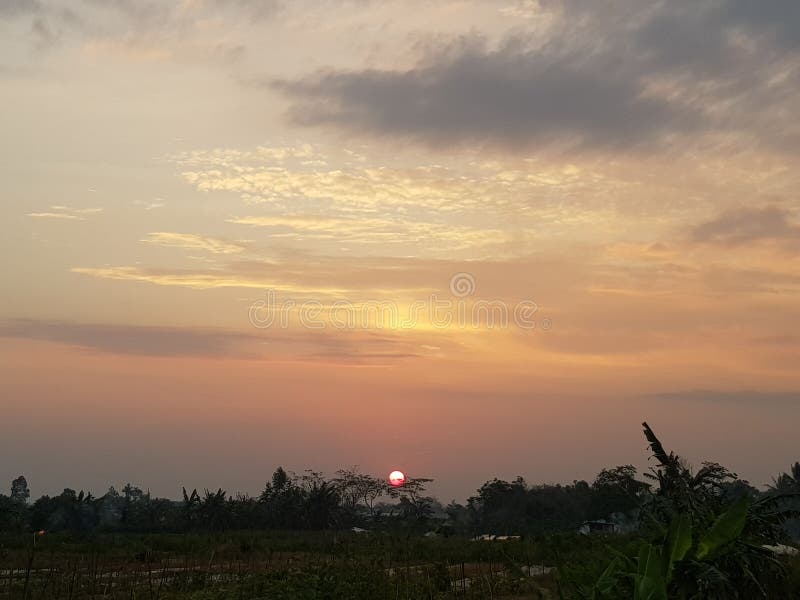 Sun Set in the Field Tomato, Indonesia Stock Photo - Image of field ...