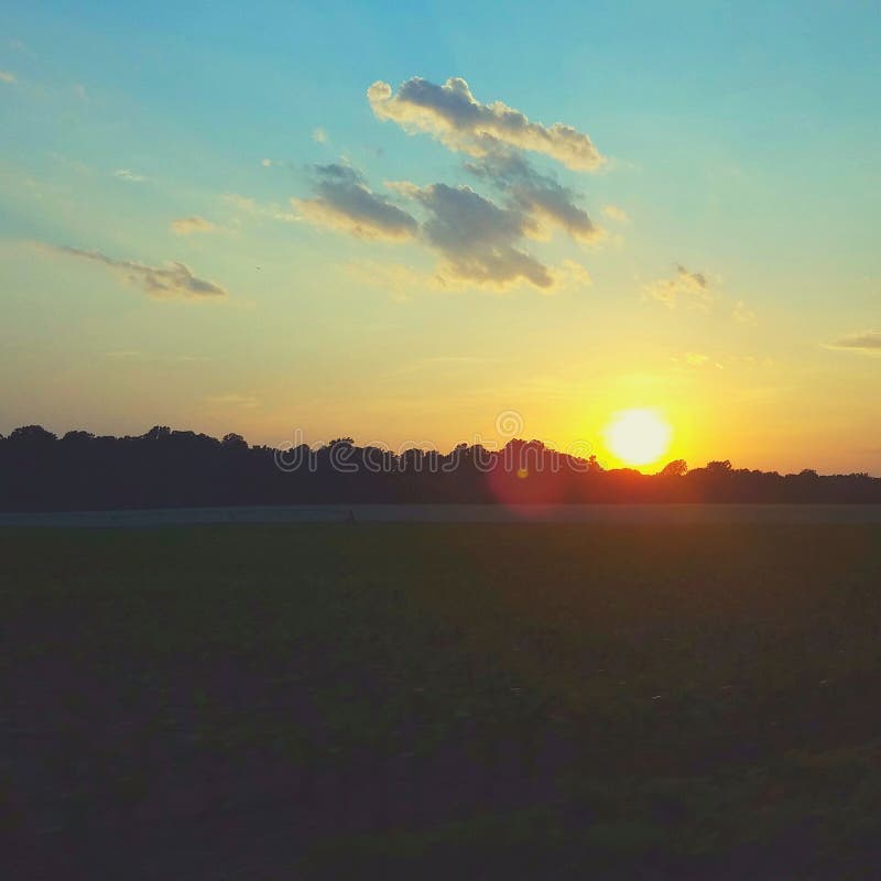 Sun set over a corn field stock photo. Image of field - 80967168