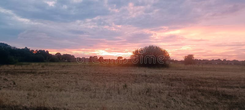 Sun set over the field stock photo. Image of morning - 275769494