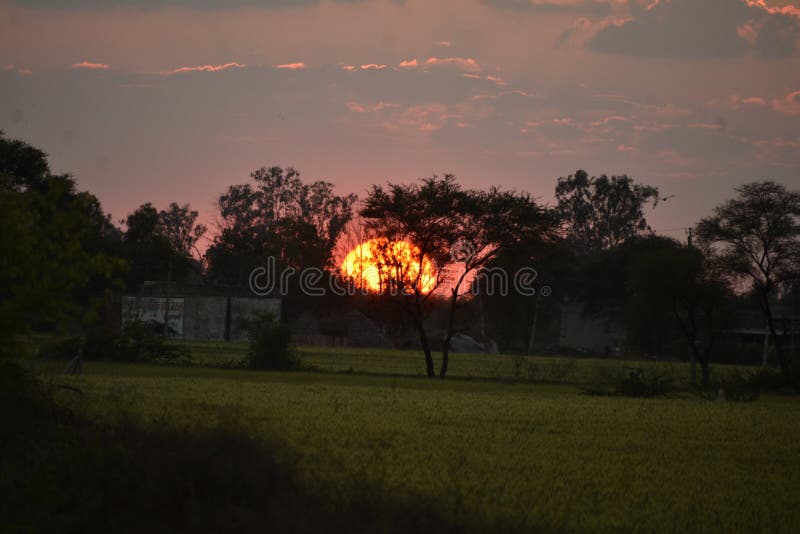 Sun set in rajasthan 2020 stock image. Image of rajasthan - 174906743