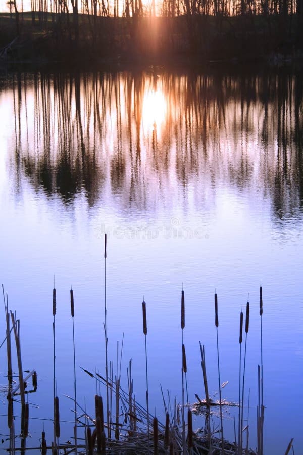A Gold Pond stock photo. Image of ditch, mountains, lake - 235002