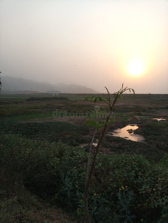 Beautiful Sinari Stock Photos - Free & Royalty-Free Stock Photos from ...