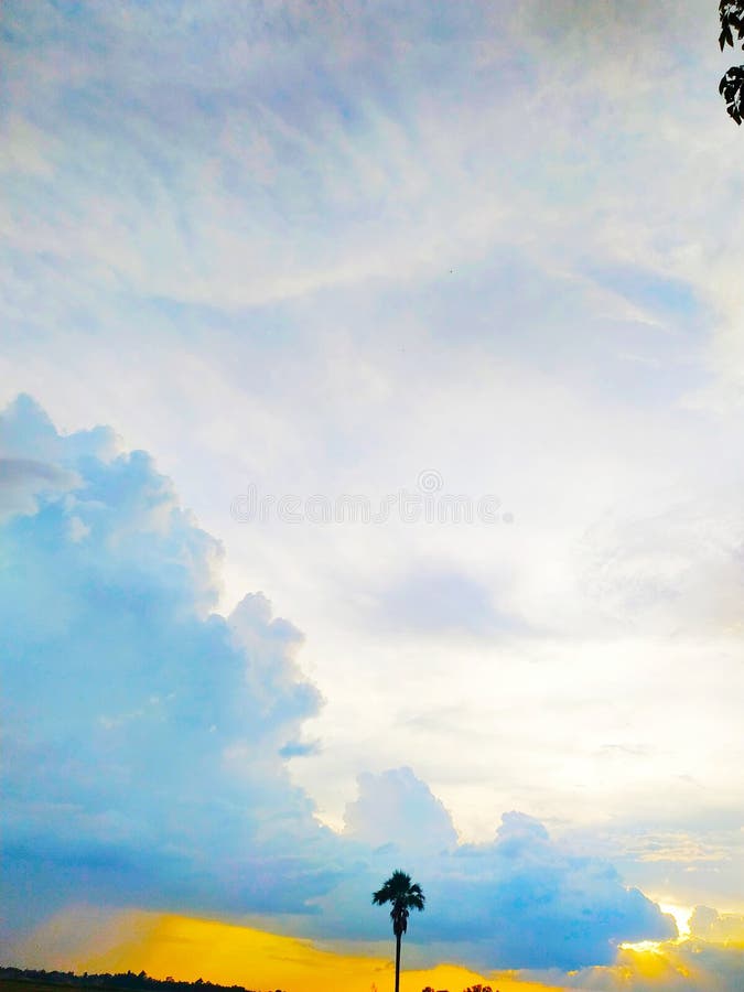 Sun set sky tree cloud stock photo. Image of sunlight - 156225572