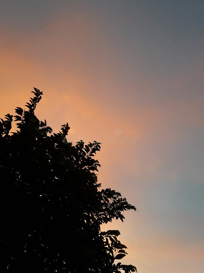 Sun set time stock image. Image of night, morning, horizon - 210292825