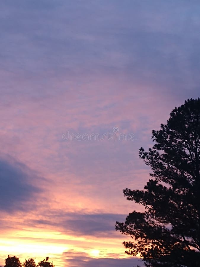 Sun Set with Trees with Vibrant Color Stock Photo - Image of vibrant ...