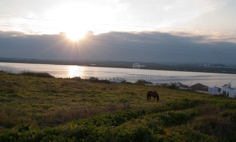 Sun set under a river stock photo. Image of nature, pond - 78386008