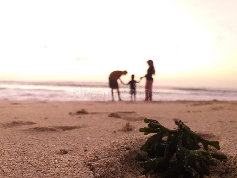 When the SUN SETS from the BEACH Stock Image - Image of beach, sets ...