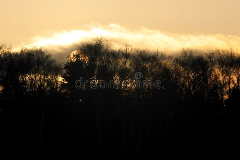 The Sun Sets Behind the Big Black Trees without Leaves. Autumn Sunset ...