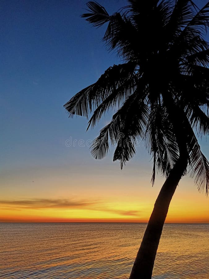 The Sun Sets Behind the Coconut Tree Stock Photo - Image of coconut ...