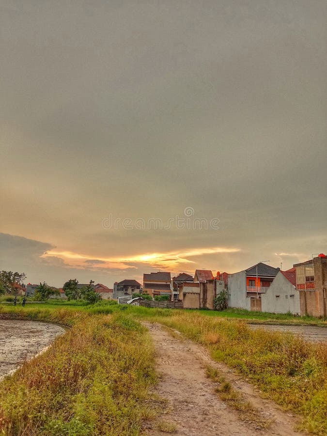 The Sun Sets in the Evening with Views of the Rice Fields and Houses ...