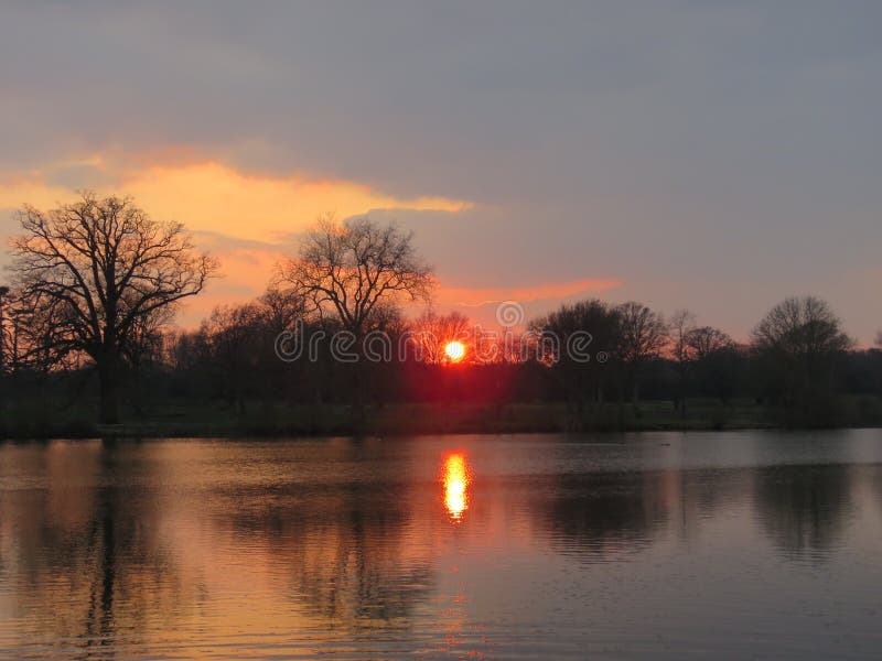 The Sun Sets Low Reflecting in the Water with Tree Reflections Stock ...