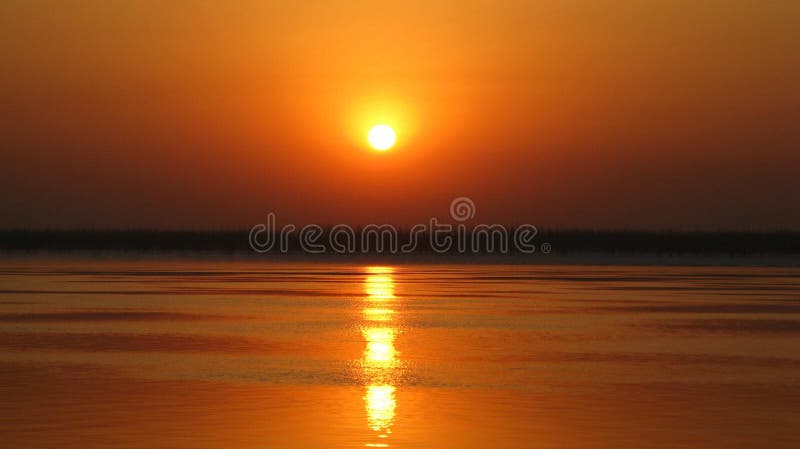 The sun sets in nature stock photo. Image of morning - 278921988