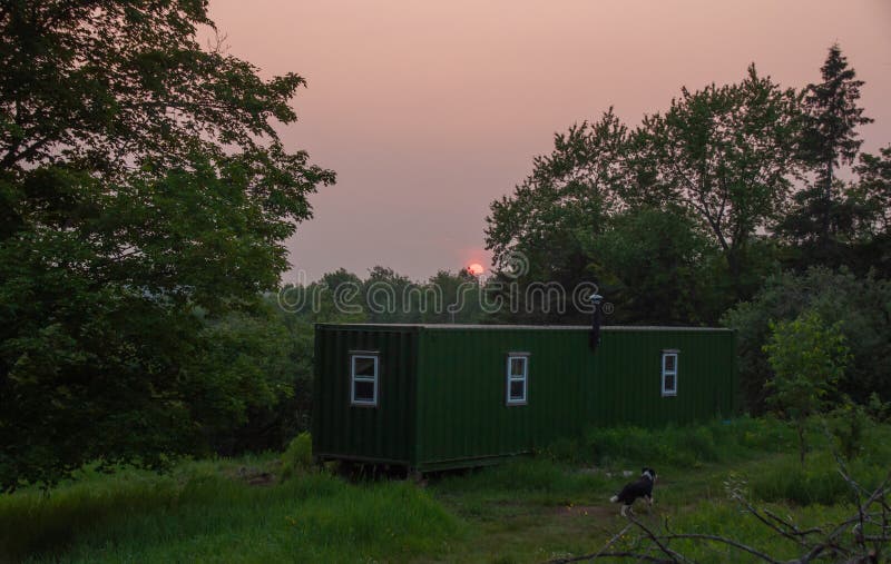 The Sun Sets Over a Green Shipping Container in a Forest Stock Image ...