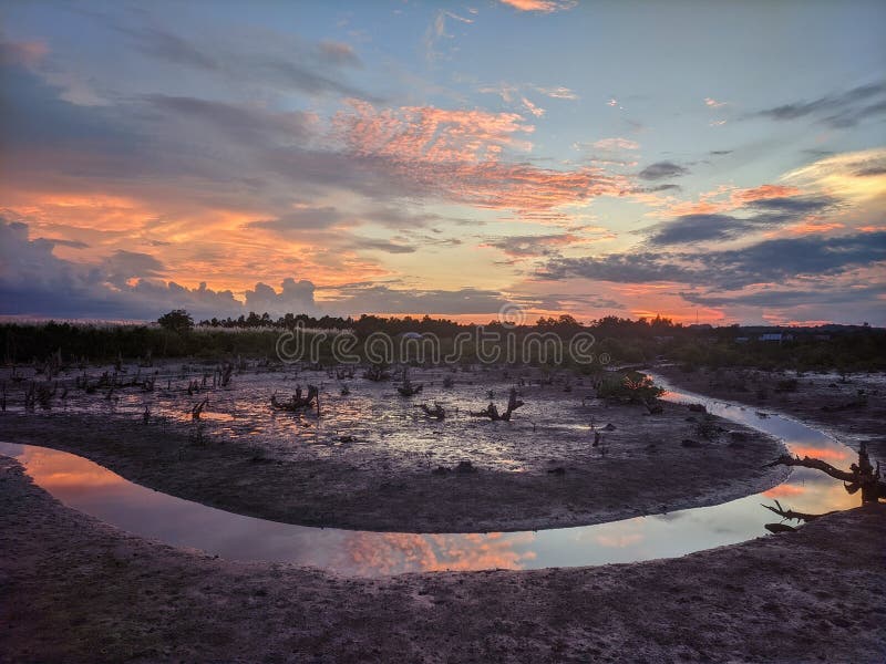 The Sun Sets Over the Mangrove Forest and the Flow of a Small River ...