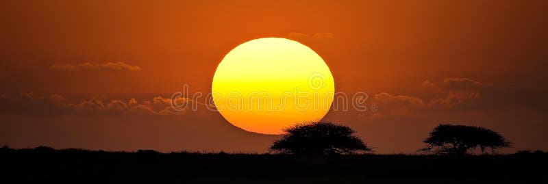 The Sun Sets Over the Tree-lined Horizon, Framing the Scene with Clouds ...