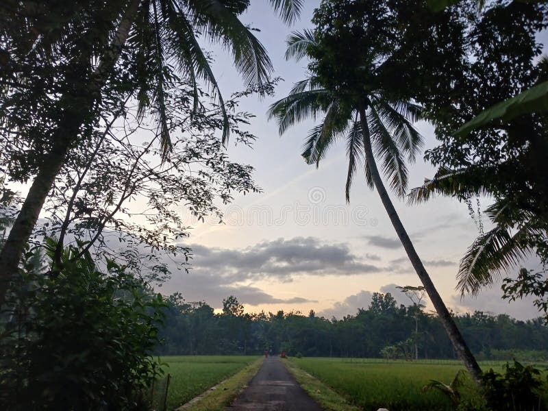 The Sun Sets and the Sun Rises Stock Image - Image of beautiful, rises ...