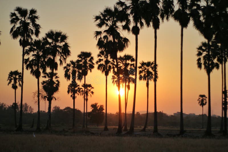 The Sun Sets at Thung Tan in the Evening, the Weather is Good Editorial ...